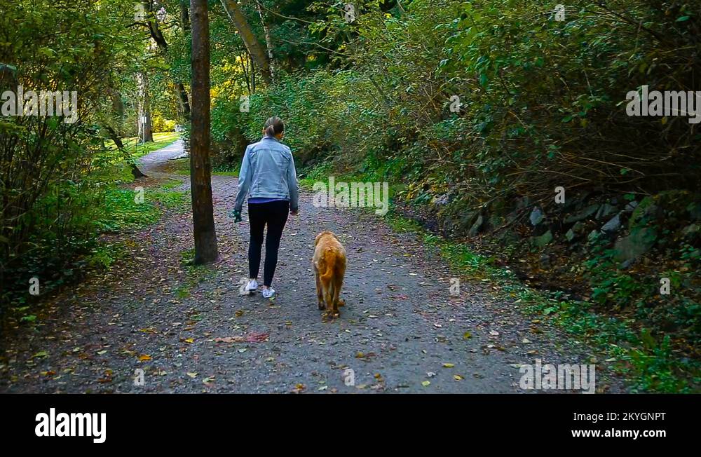 Older woman walking on a forest path with her dog Stock Video Footage ...