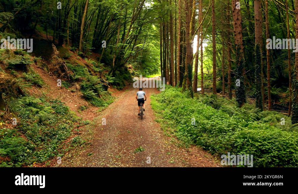 Cycle in forest Stock Videos & Footage - HD and 4K Video Clips - Alamy