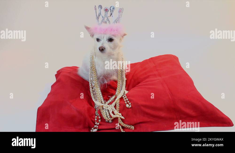 Queen crown jewels Stock Videos & Footage - HD and 4K Video Clips - Alamy
