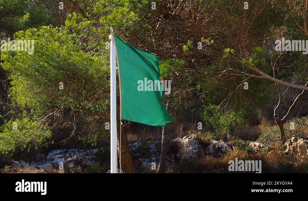 Green flag safety swimming Stock Videos & Footage - HD and 4K Video ...