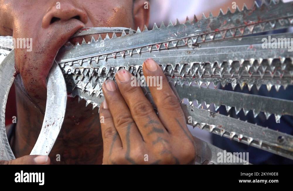 A follower of the Chinese Shrine, pierces cheeks with skewers Stock ...