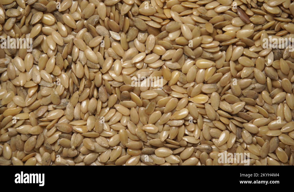Golden linseed Stock Videos & Footage - HD and 4K Video Clips - Alamy