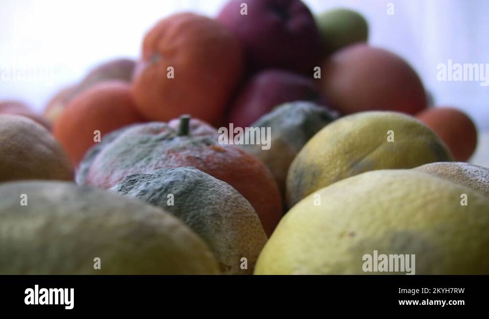 Rotten lime Stock Videos & Footage - HD and 4K Video Clips - Alamy