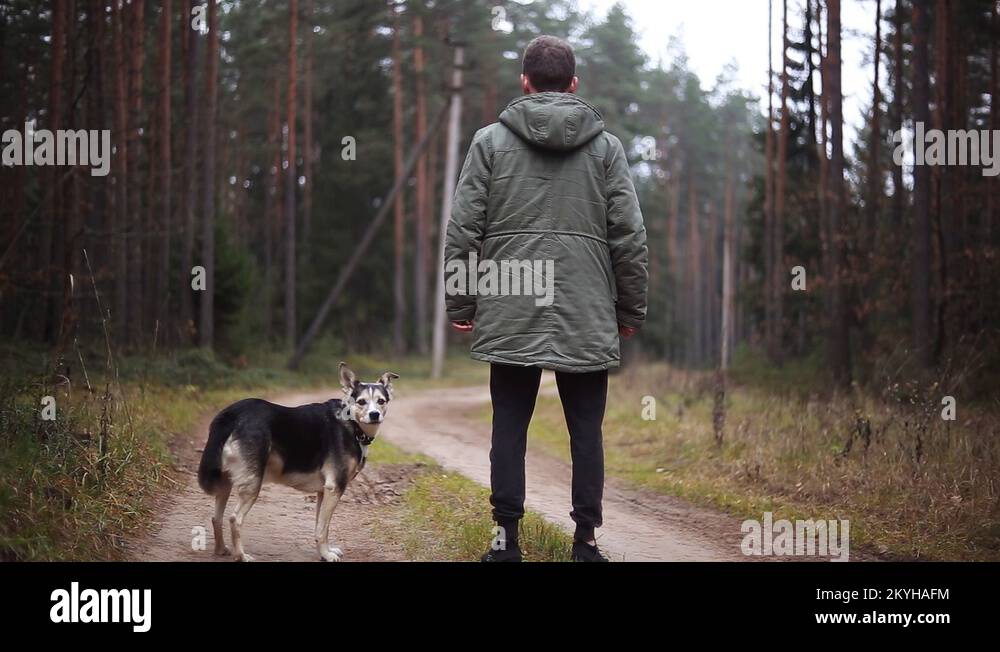 Hike walk contemplate Stock Videos & Footage - HD and 4K Video Clips ...