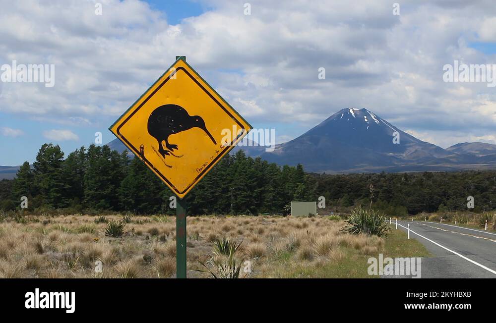 Kiwi sign new zealand Stock Videos & Footage - HD and 4K Video Clips ...