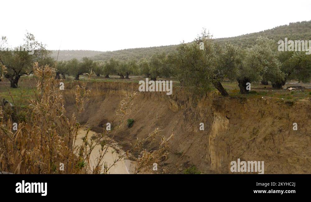Gully erosion field Stock Videos & Footage - HD and 4K Video Clips - Alamy