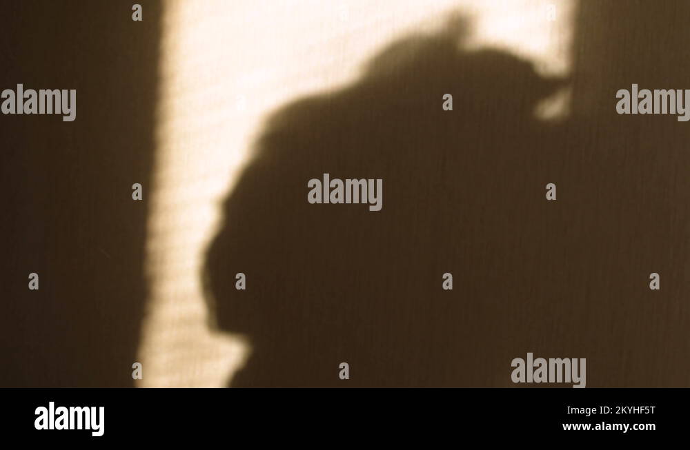 Female shadow profile on white Stock Videos & Footage - HD and 4K Video ...