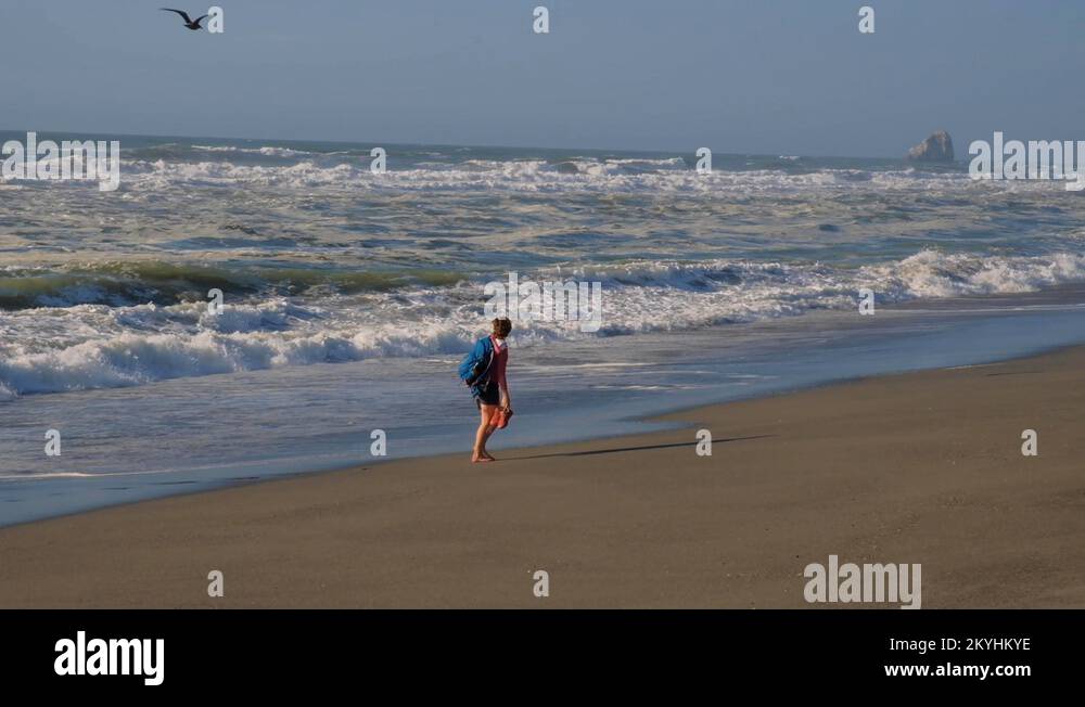 Female backpacker beach Stock Videos & Footage - HD and 4K Video Clips ...