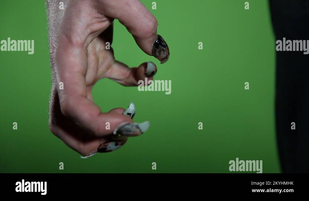 Razor sharp claws Stock Videos & Footage - HD and 4K Video Clips - Alamy