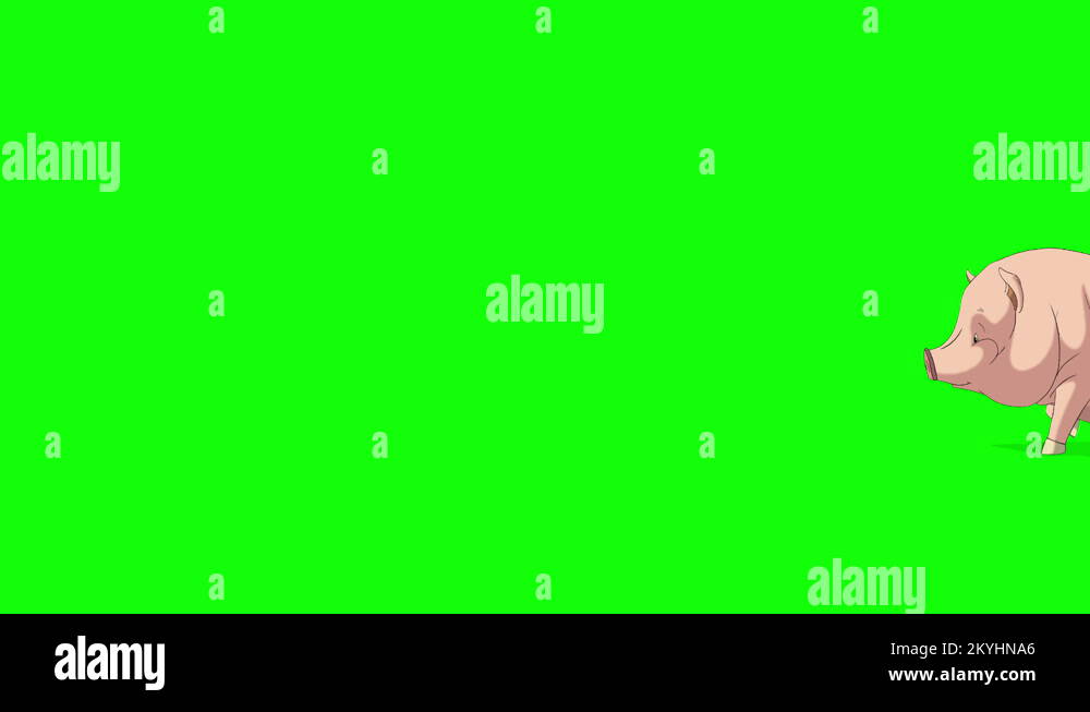 Little yellow pig Stock Videos & Footage - HD and 4K Video Clips - Alamy