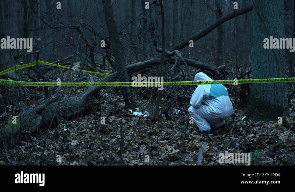 Crime scene forensic Stock Videos & Footage - HD and 4K Video Clips - Alamy