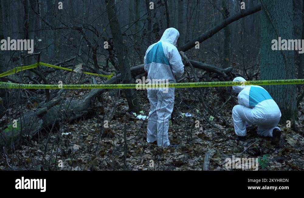 Forensic science experts collecting evidence at crime scene ...
