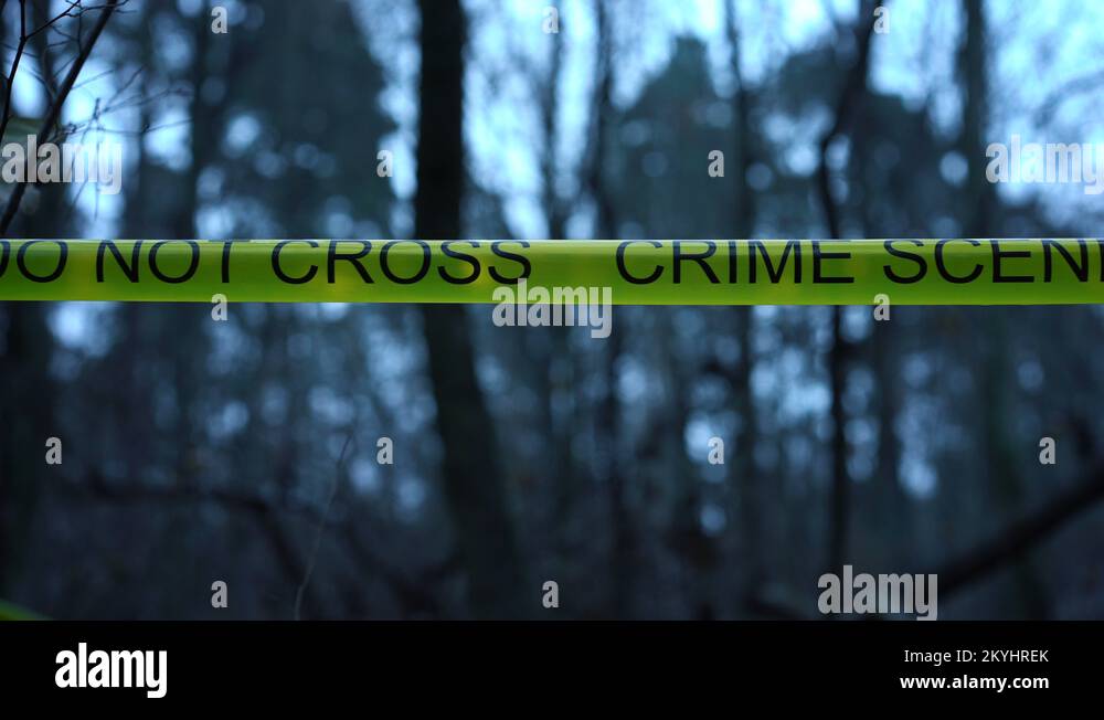 Crime murder woods Stock Videos & Footage - HD and 4K Video Clips - Alamy
