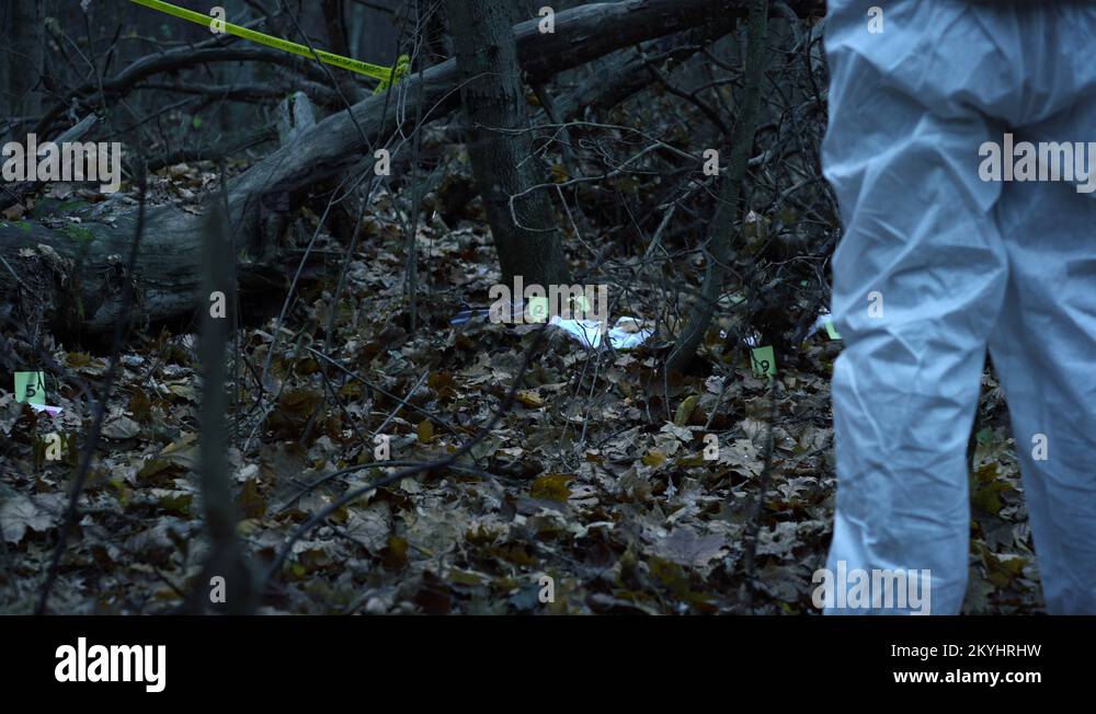 Crime scene in forest, scattered victim clothing at ground, evidence ...