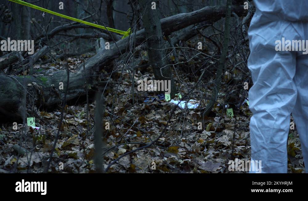 Victim's clothing at crime scene, forensic expert collecting evidence ...