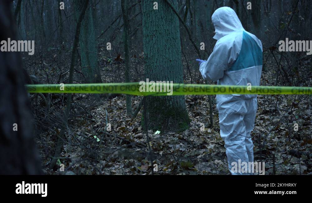 Forensic science expert alone at crime scene, collecting evidence ...