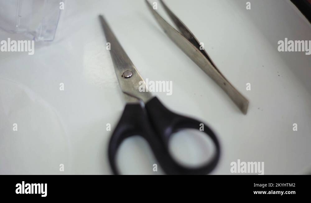 Dissection instruments Stock Videos & Footage - HD and 4K Video Clips ...
