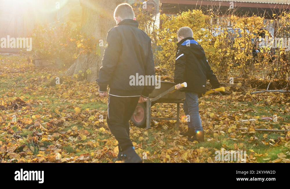 Boys teamwork Stock Videos & Footage - HD and 4K Video Clips - Alamy
