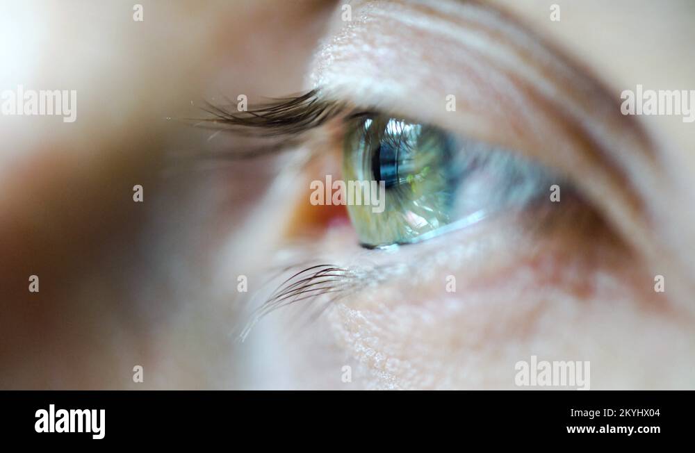 Cornea of a Green Light Colored Eye Side View Stock Video Footage - Alamy
