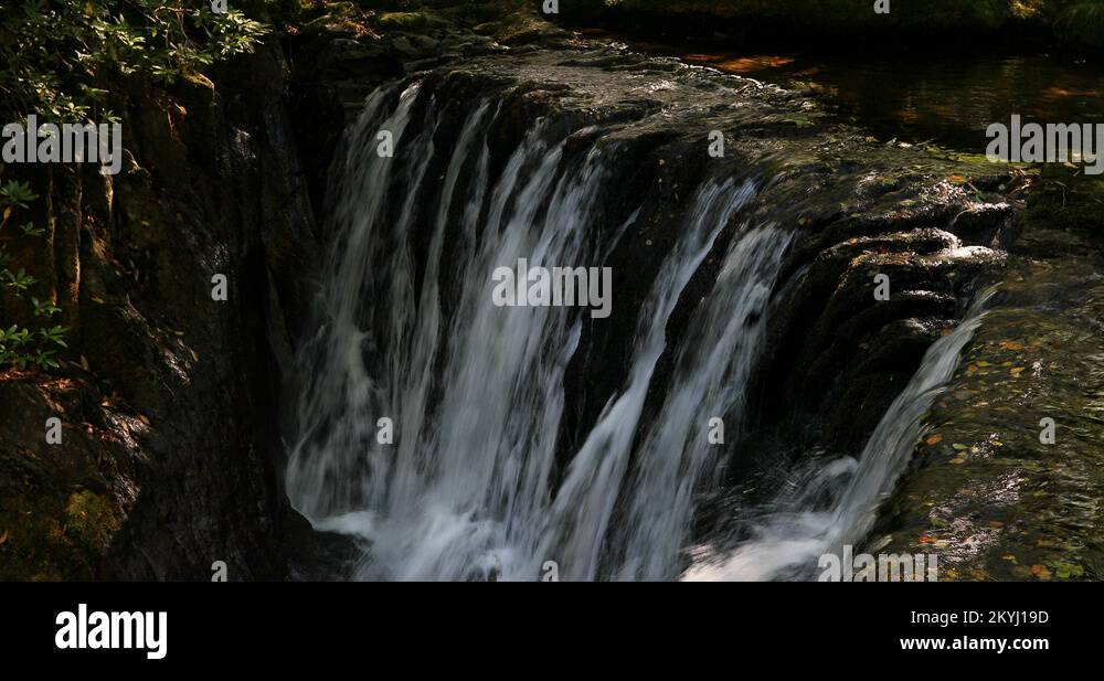Forest river waterfall wales Stock Videos & Footage - HD and 4K Video ...