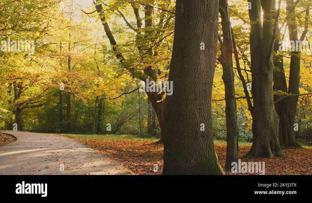 Curved walking path Stock Videos & Footage - HD and 4K Video Clips - Alamy