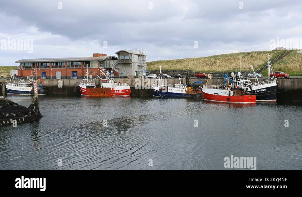 Fishing harbour eyemouth Stock Videos & Footage - HD and 4K Video Clips ...