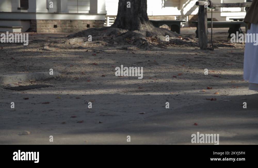 Colonial American Town / Village - Buildings, Carriages and Street Life ...