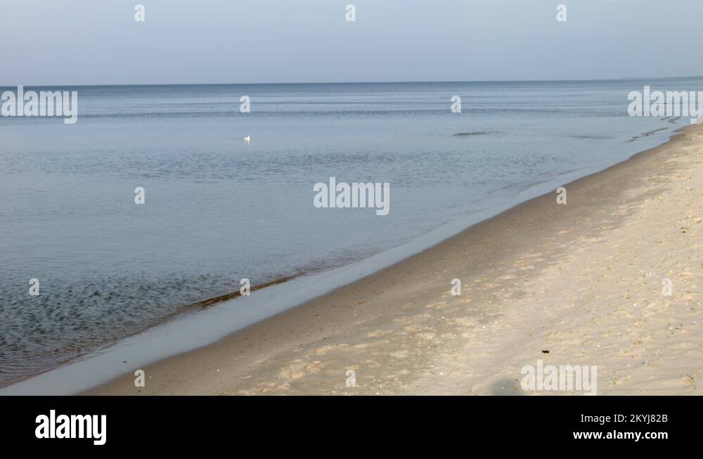 Rybackie Stock Videos & Footage - HD and 4K Video Clips - Alamy