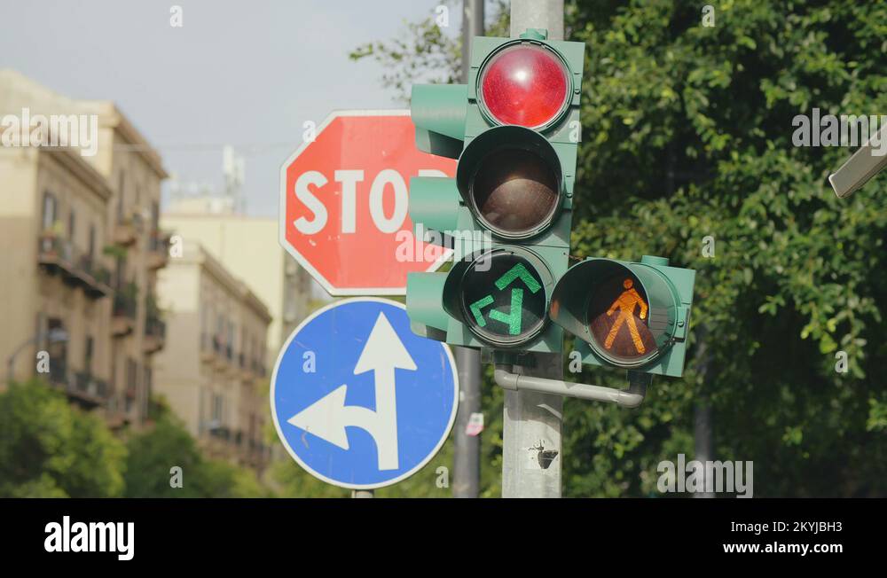 Flashing traffic lights and road signs on background city and green ...