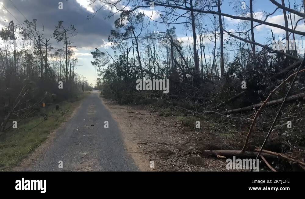 Knocked about Stock Videos & Footage - HD and 4K Video Clips - Alamy