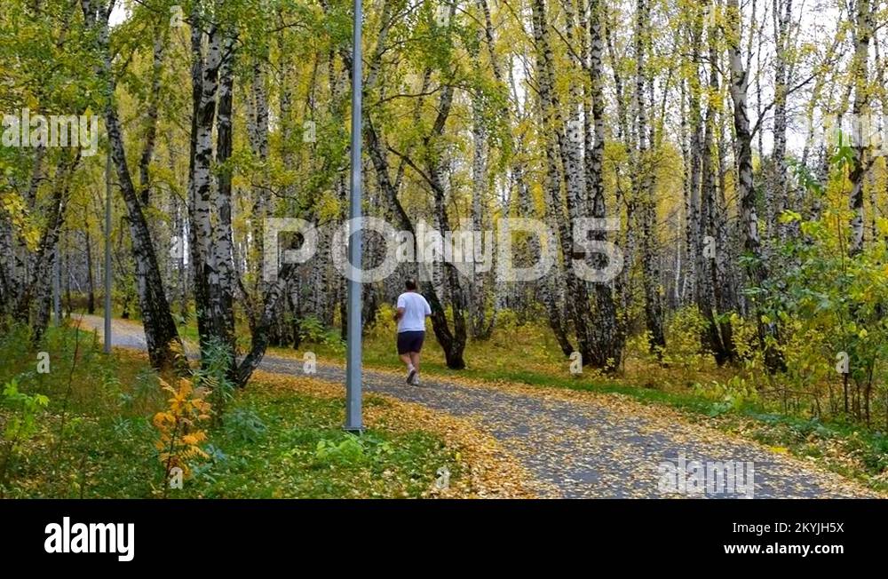 Fat man in shorts Stock Videos & Footage - HD and 4K Video Clips - Alamy