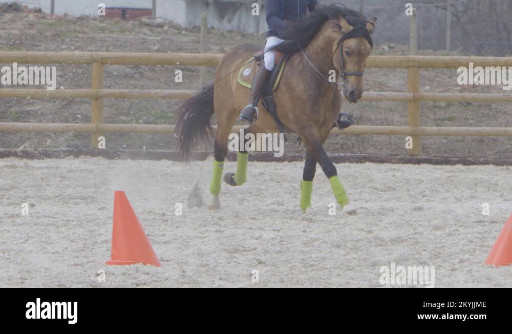 Event horse training gallop Stock Videos & Footage - HD and 4K Video ...