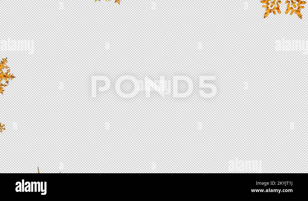 Burning snowflakes rotate and form a circle on a transparent background ...