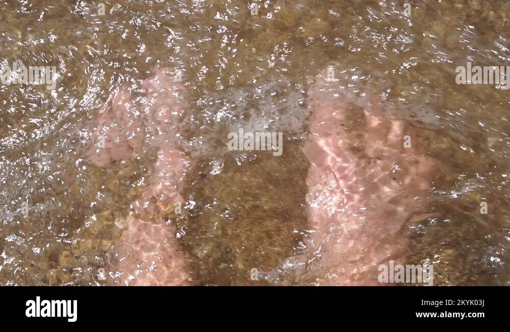 Feet in the clear water Stock Videos & Footage - HD and 4K Video Clips ...