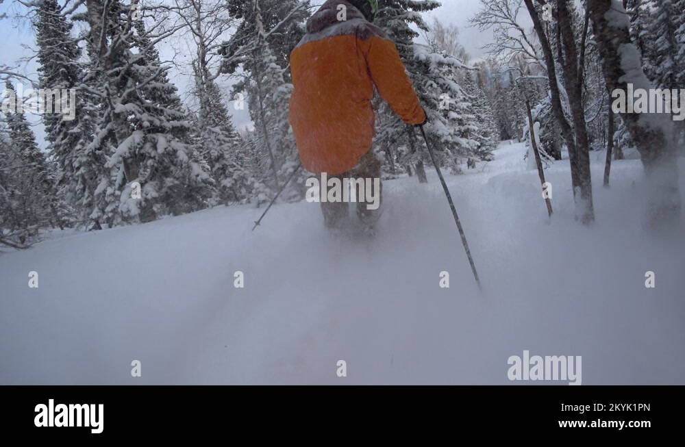 Mountain taiga Stock Videos & Footage - HD and 4K Video Clips - Alamy