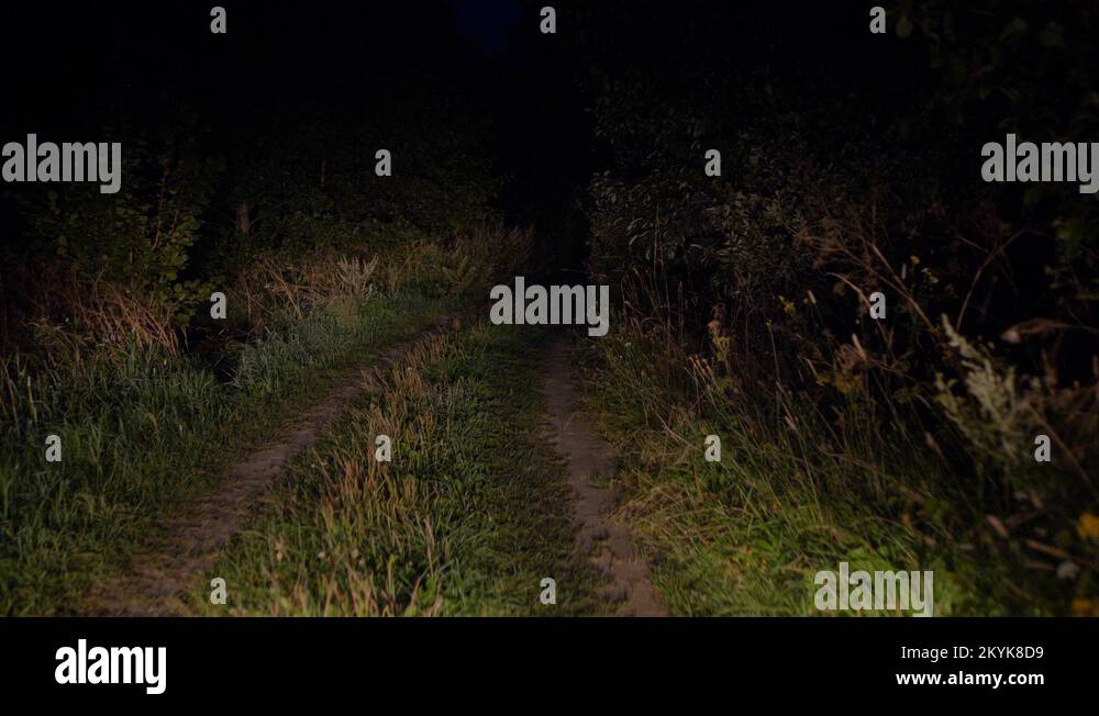 Driving On Bad Rural Road At Night In Light Of The Headlights In The ...