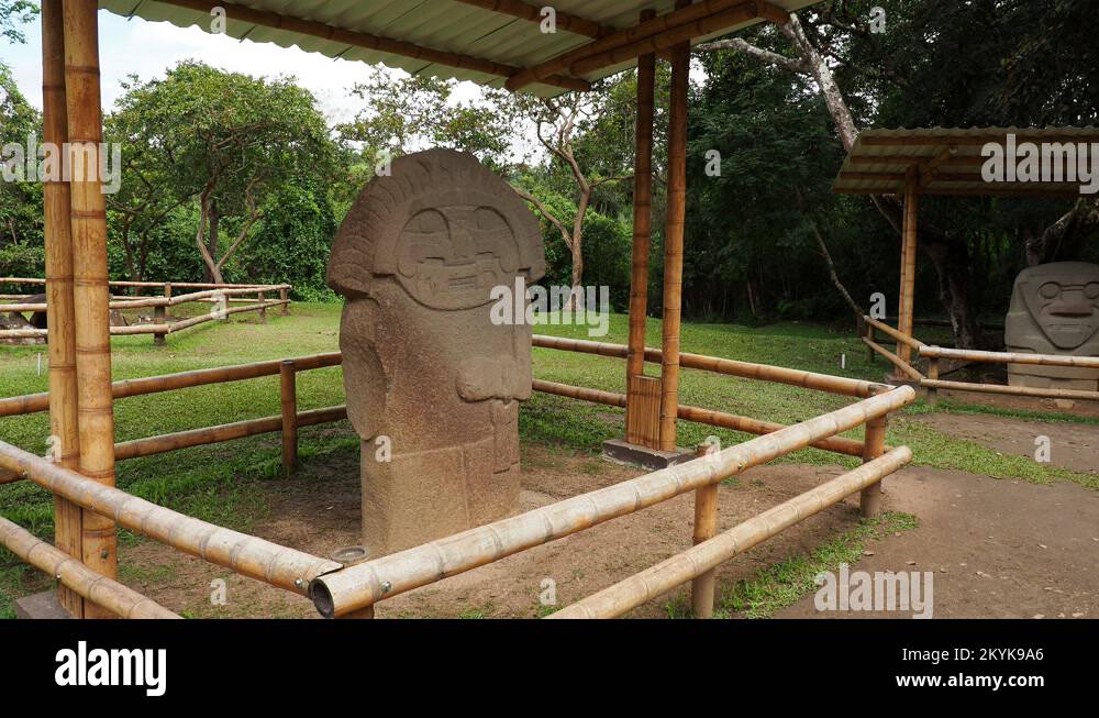 Archaeology archaeological archeology archeological Stock Videos ...