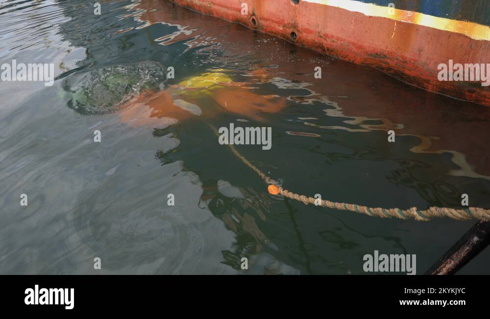 Professional diver at work underwater Stock Videos & Footage - HD and ...