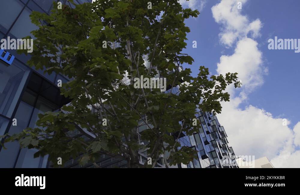 Creative urban block with high-rise buildings with glass facade and ...