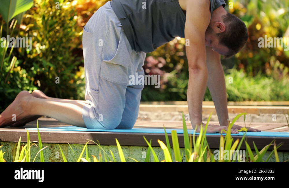 Camel exercise Stock Videos & Footage - HD and 4K Video Clips - Alamy