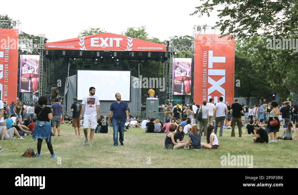 concert crowd on music festival at grass field,at the concert dancing ...