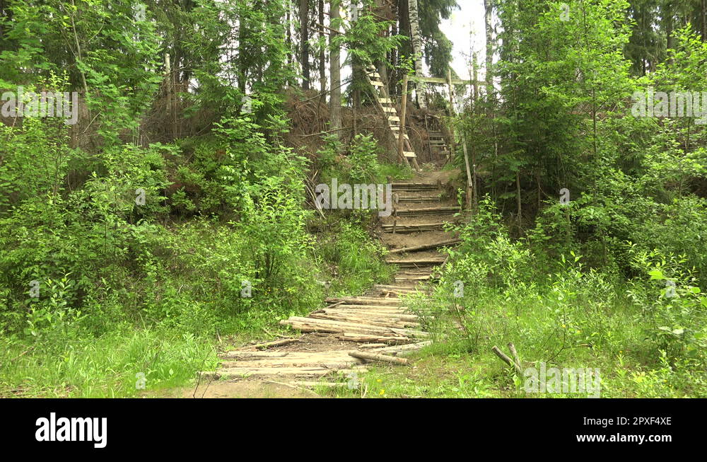 Camp adventure forest tower Stock Videos & Footage - HD and 4K Video ...