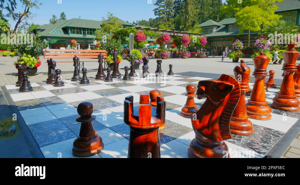 Full chess set Stock Videos & Footage - HD and 4K Video Clips - Alamy