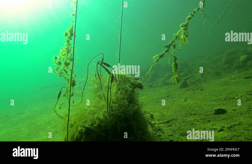 Tangled nets Stock Videos & Footage - HD and 4K Video Clips - Alamy