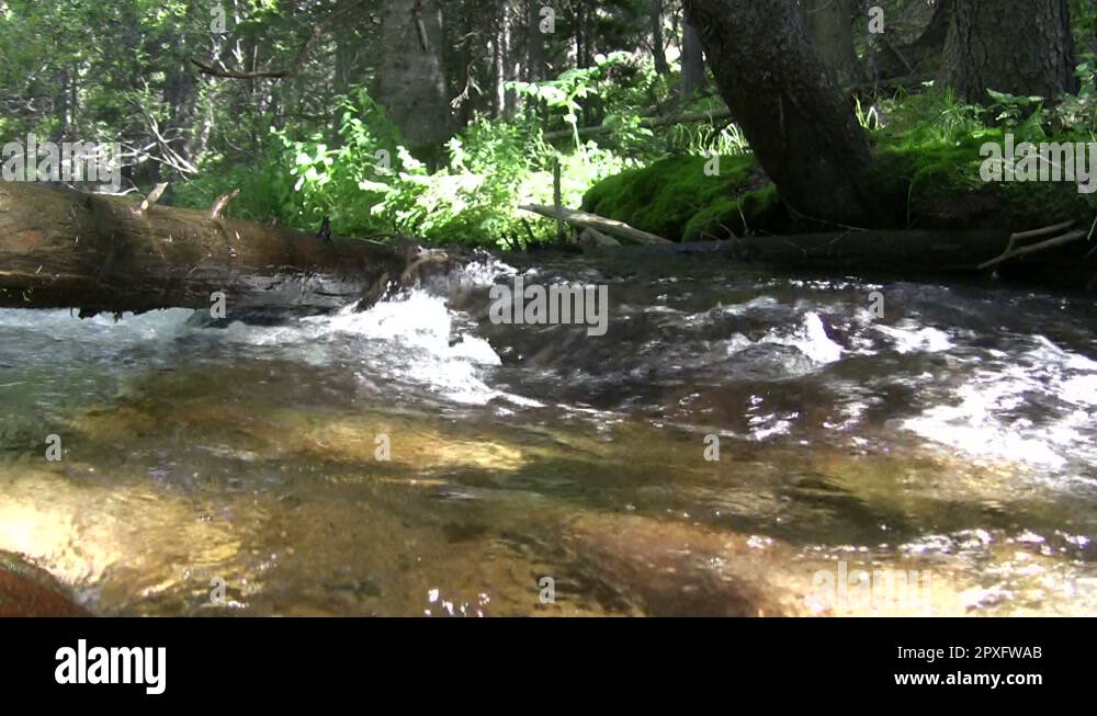 Blocking water flow Stock Videos & Footage - HD and 4K Video Clips - Alamy