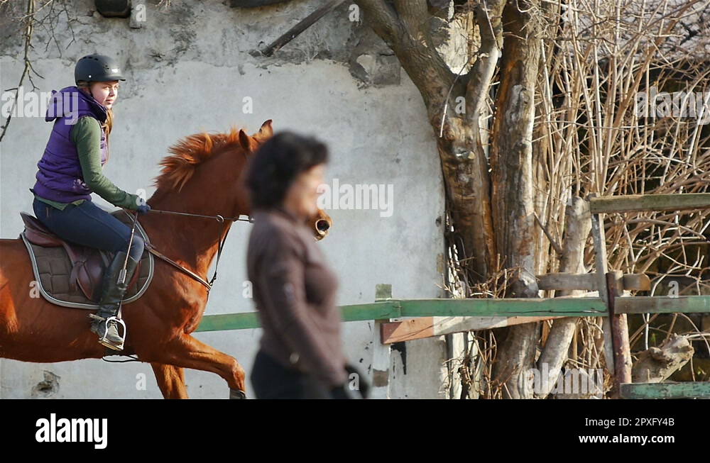 Professional female jockey Stock Videos & Footage - HD and 4K Video ...