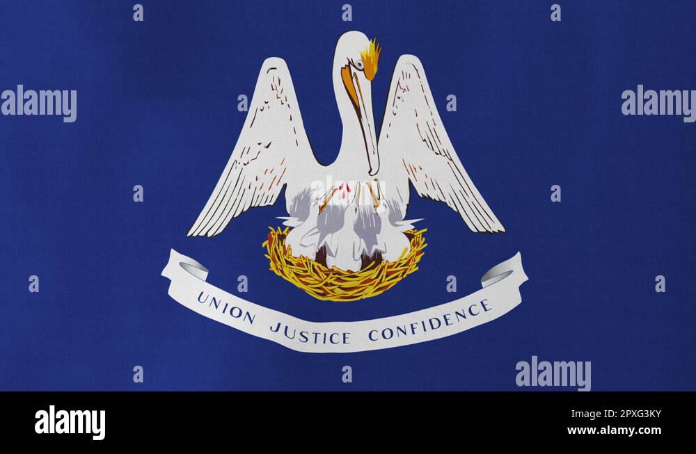 Louisiana flag Stock Videos & Footage - HD and 4K Video Clips - Alamy