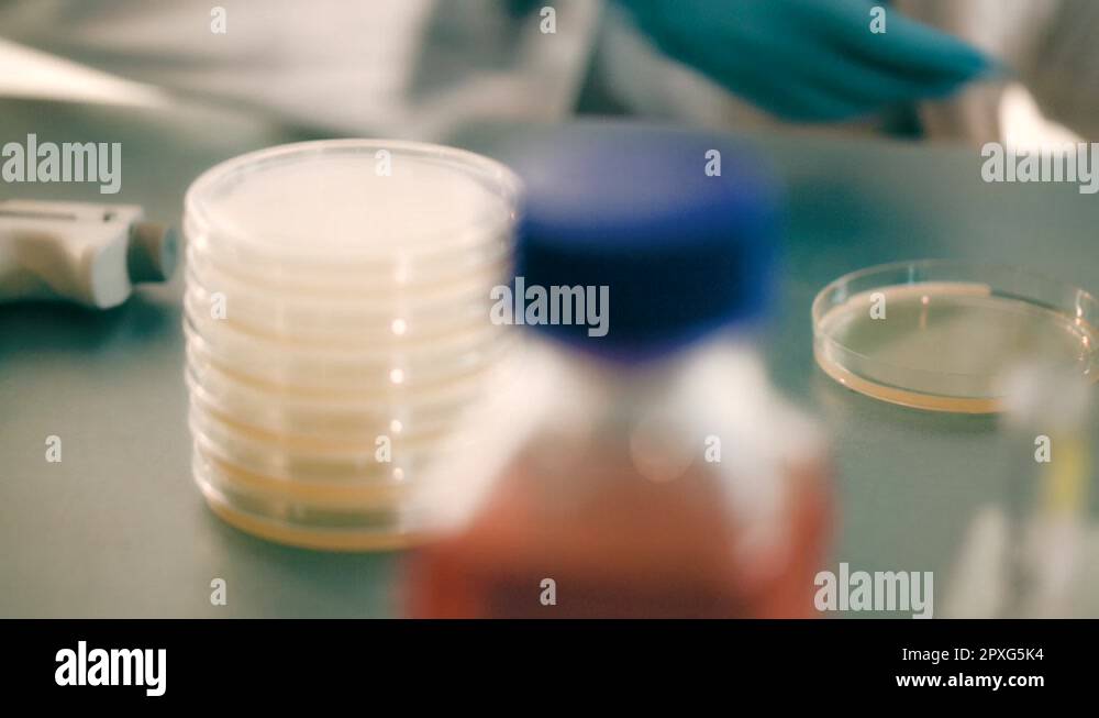 Inoculate inoculation Stock Videos & Footage - HD and 4K Video Clips ...