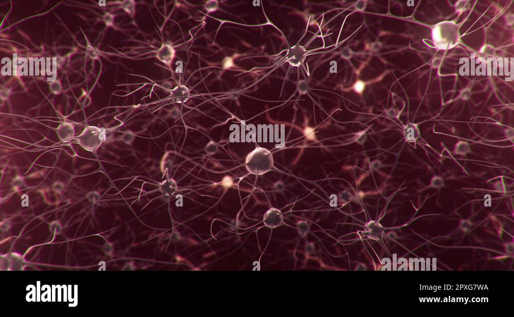 Neural system Stock Videos & Footage - HD and 4K Video Clips - Alamy