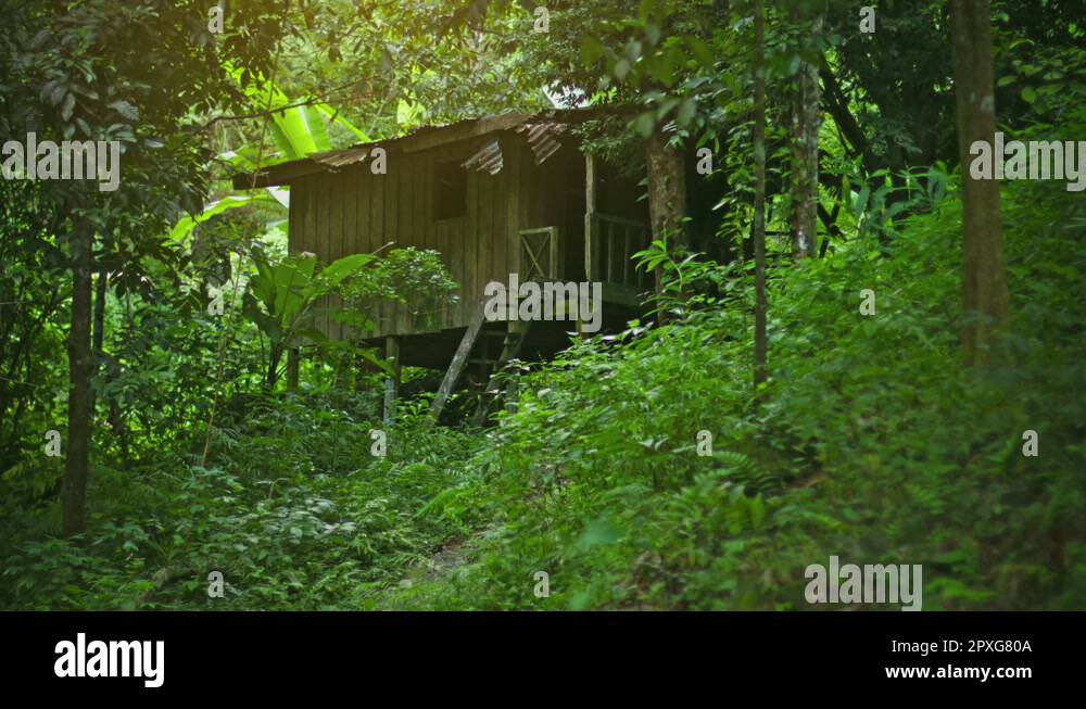 Wooden shack house in jungle Stock Videos & Footage - HD and 4K Video ...